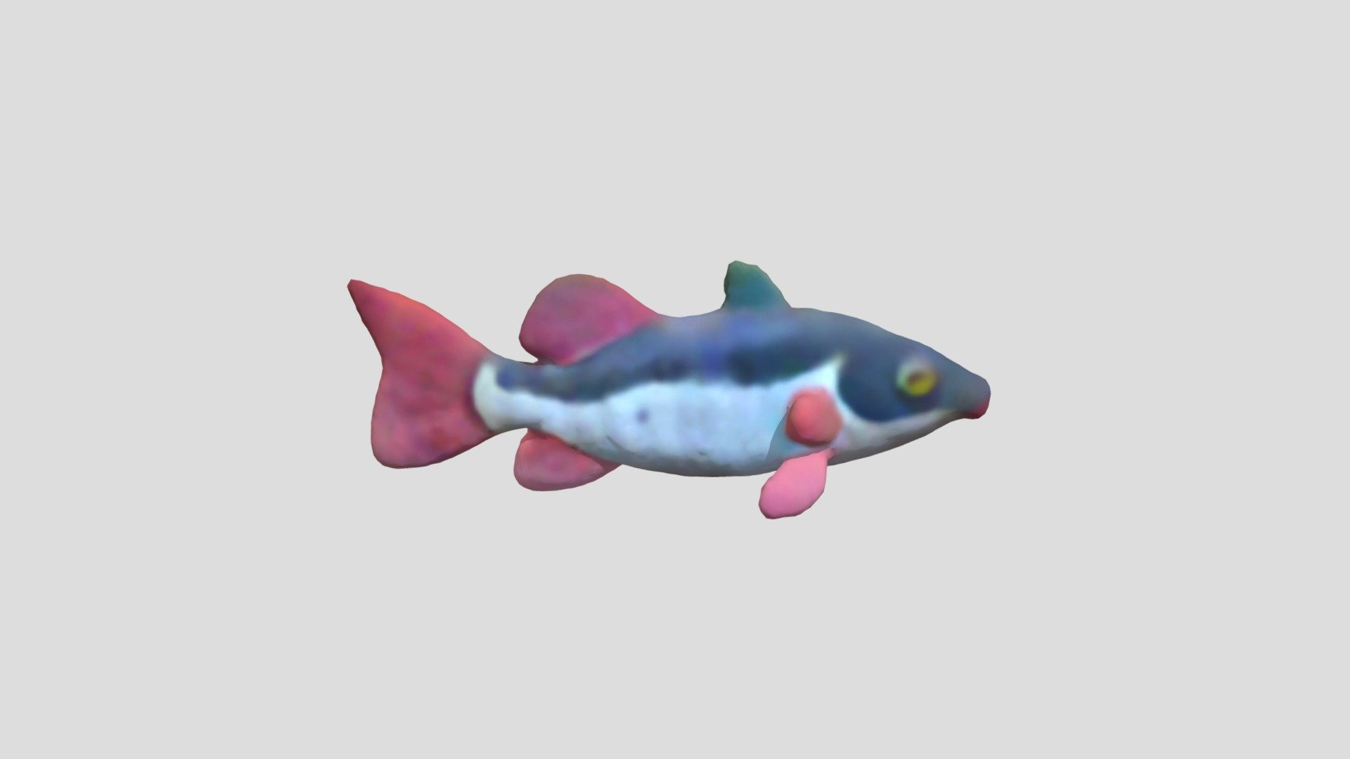 Red Tail Catifish - Download Free 3D model by fredy120488 [03424c3 ...
