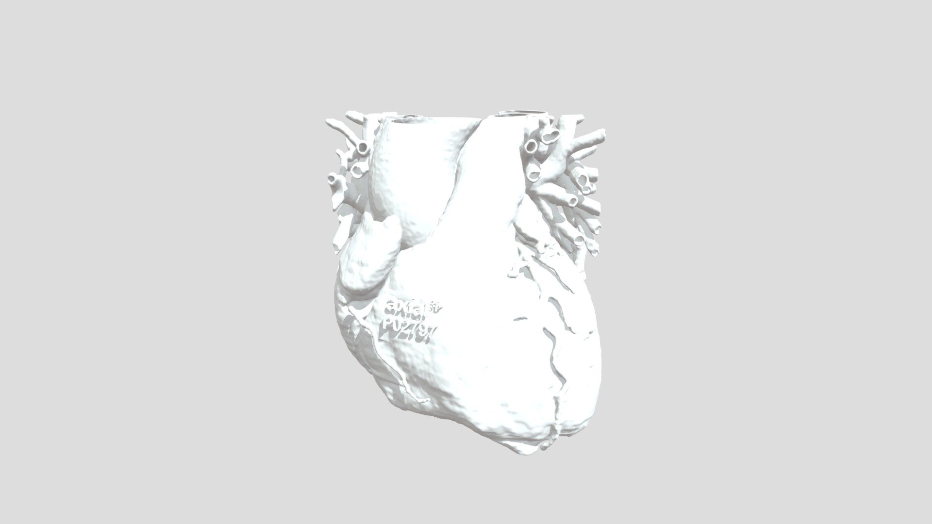 A Bob model - Download Free 3D model by VGTS (@nanda12345) [0344772 ...