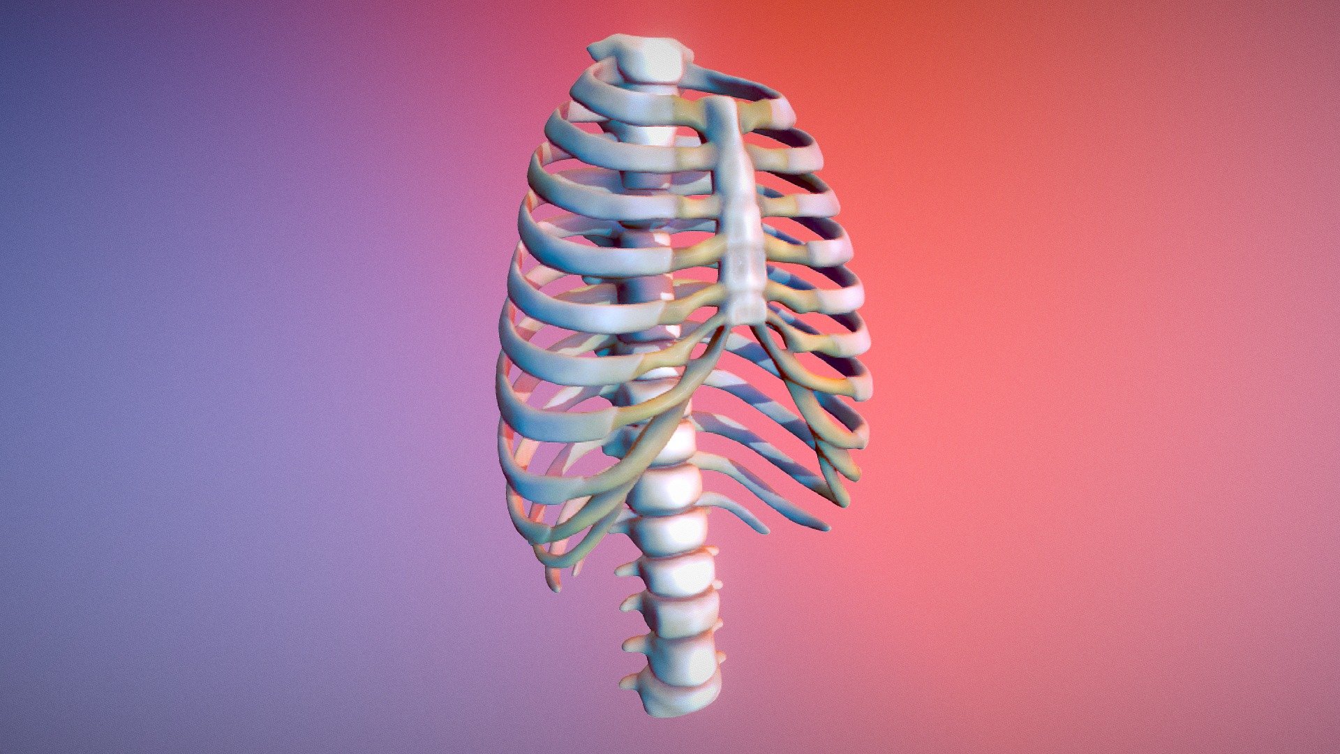 Day 3 of Sculpt January 2019: Chest - 3D model by illuminatty ...