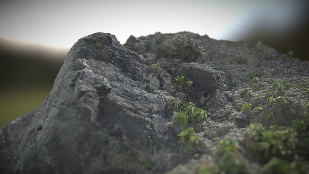 Boulder- Serpentinite - 3D model by Pete Hanshaw (@phanshaw) [0362fbf ...