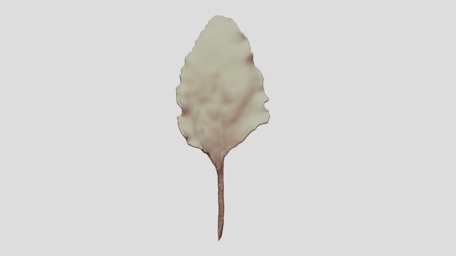 Leaf 06 - Download Free 3D model by GigaScience (@GigaDB) [036e3e7 ...