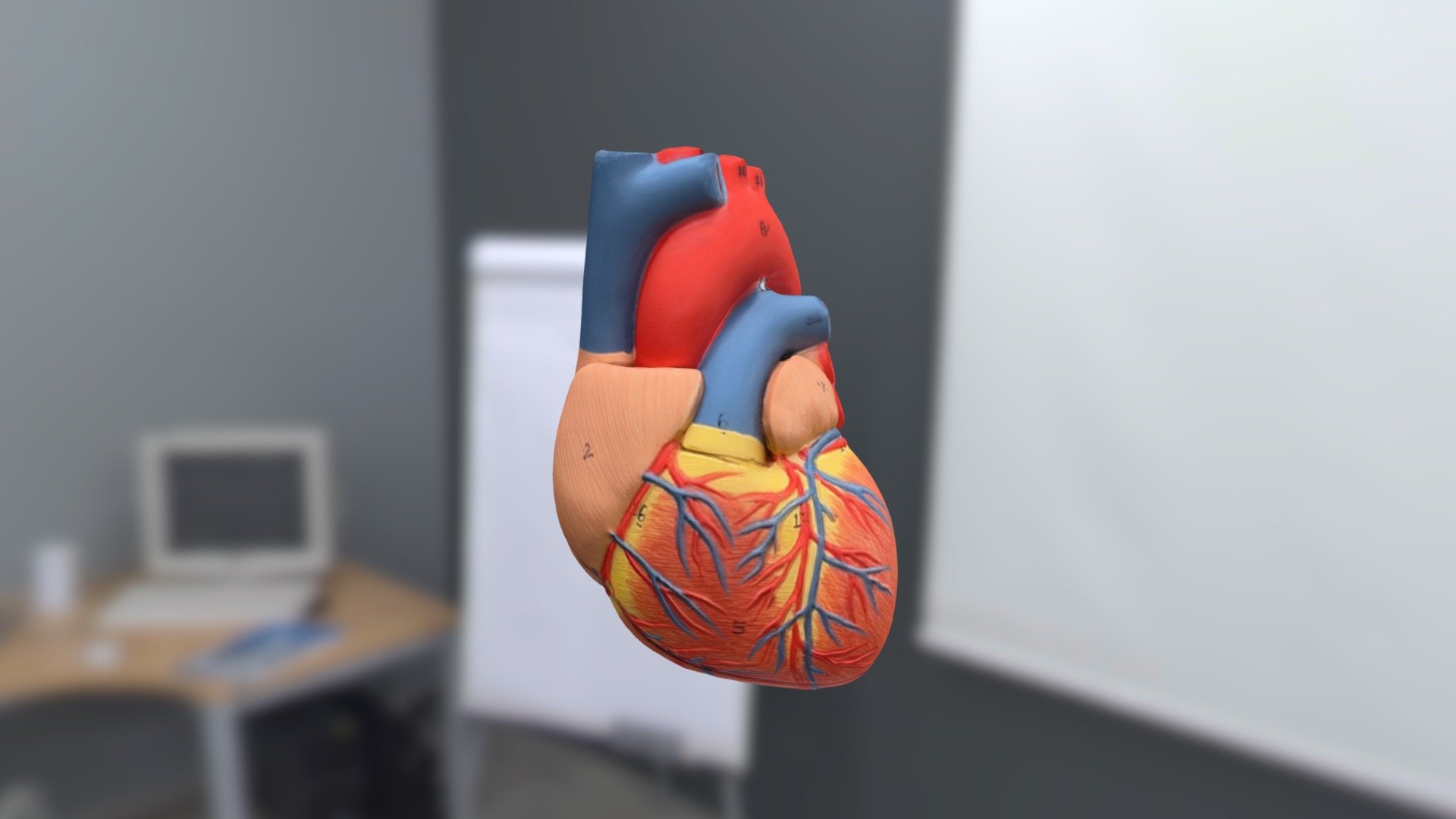 Combo Heart - 3D model by GravityB [0375bcf] - Sketchfab