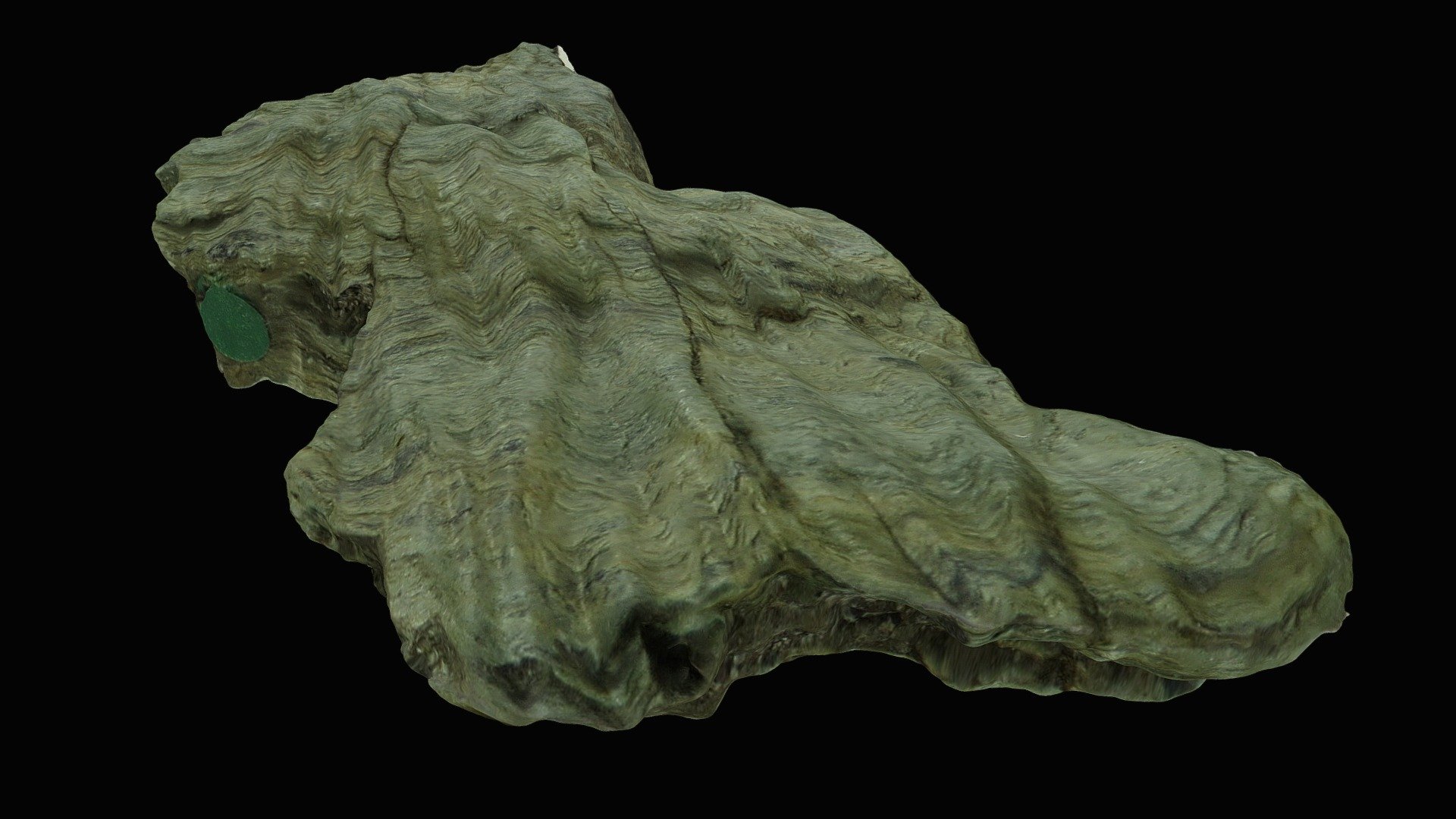 Crenulation cleavage, Italy - Download Free 3D model by Sara Carena ...