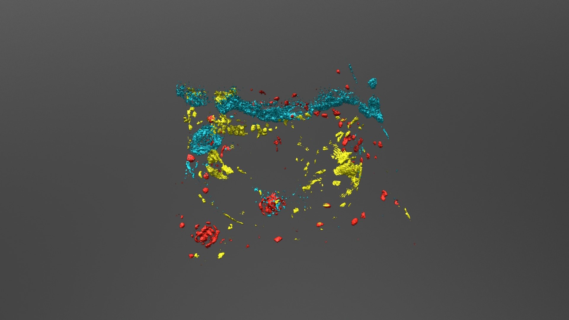 The ear of zebrafish - 3D model by yushiyang [03803e8] - Sketchfab