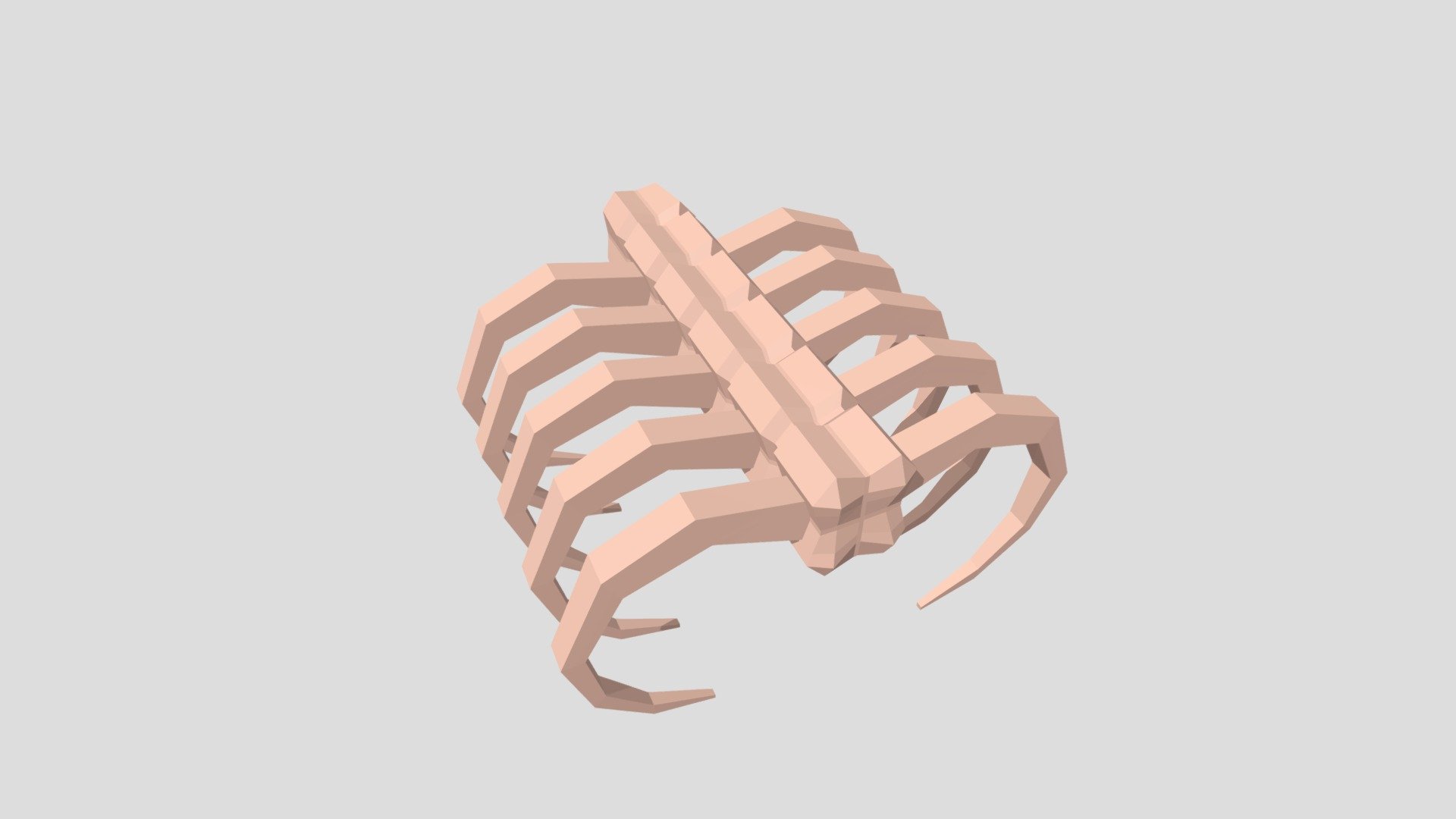 Rib-cage bones low poly prop - Download Free 3D model by Eirik Sundby ...