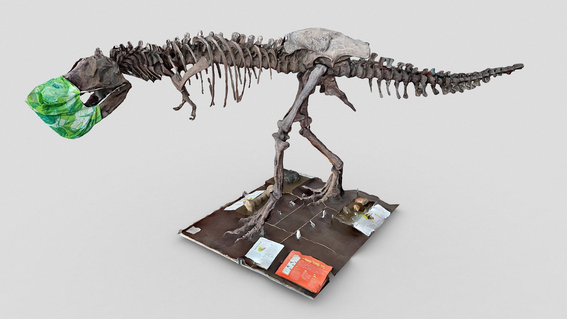 Day 279: Full-scale Tyrannosaurus rex skeleton - Download Free 3D model ...