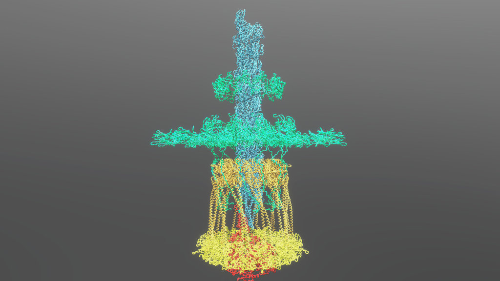 cells viruses - A 3D model collection by leesm - Sketchfab