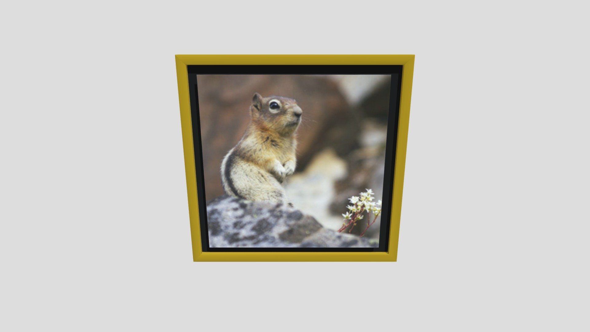 Frame squirrel - Download Free 3D model by 1-3D.com [03a9a54] - Sketchfab