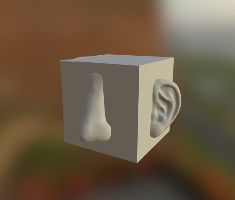 Facial Features - 3D model by tfarrstudent [03a9af8] - Sketchfab