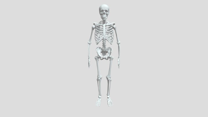 Manusia 3D models - Sketchfab