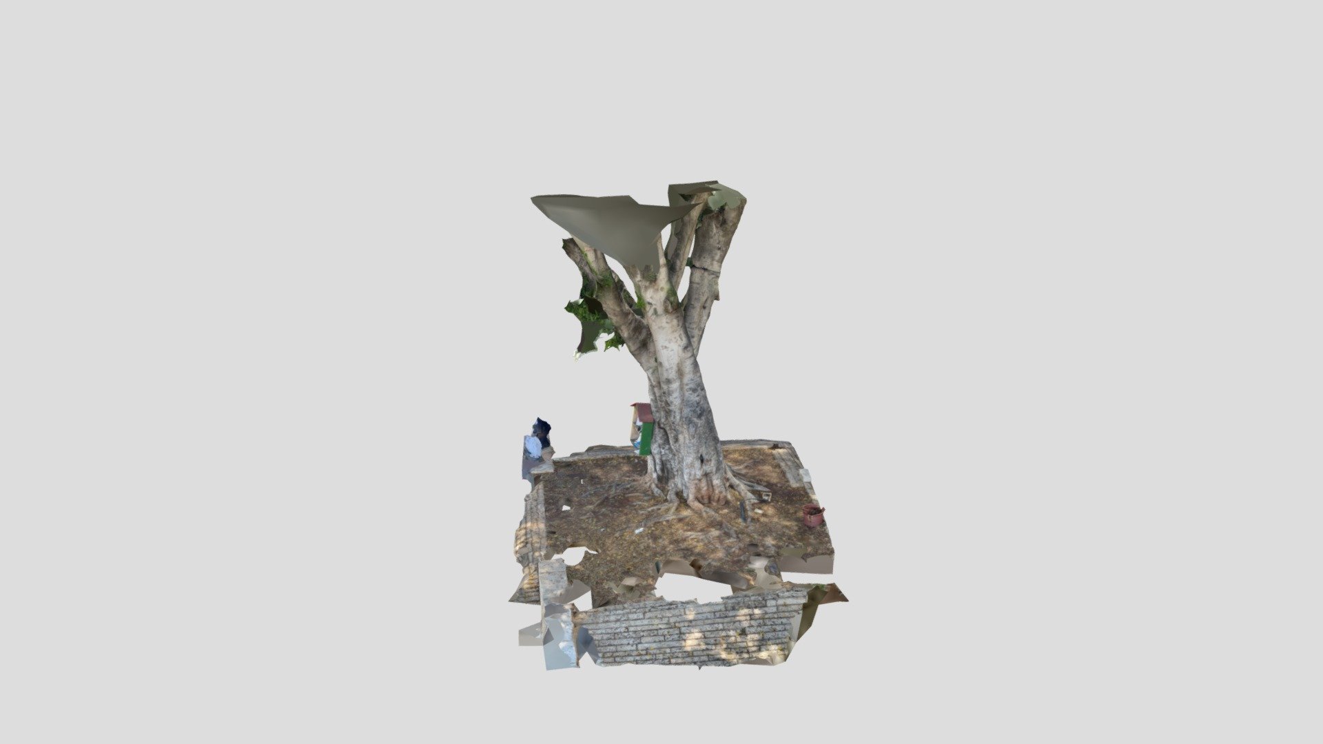 Mary’s Well Tree - Ah - Download Free 3D model by ameer_2210 [03ae1f6 ...