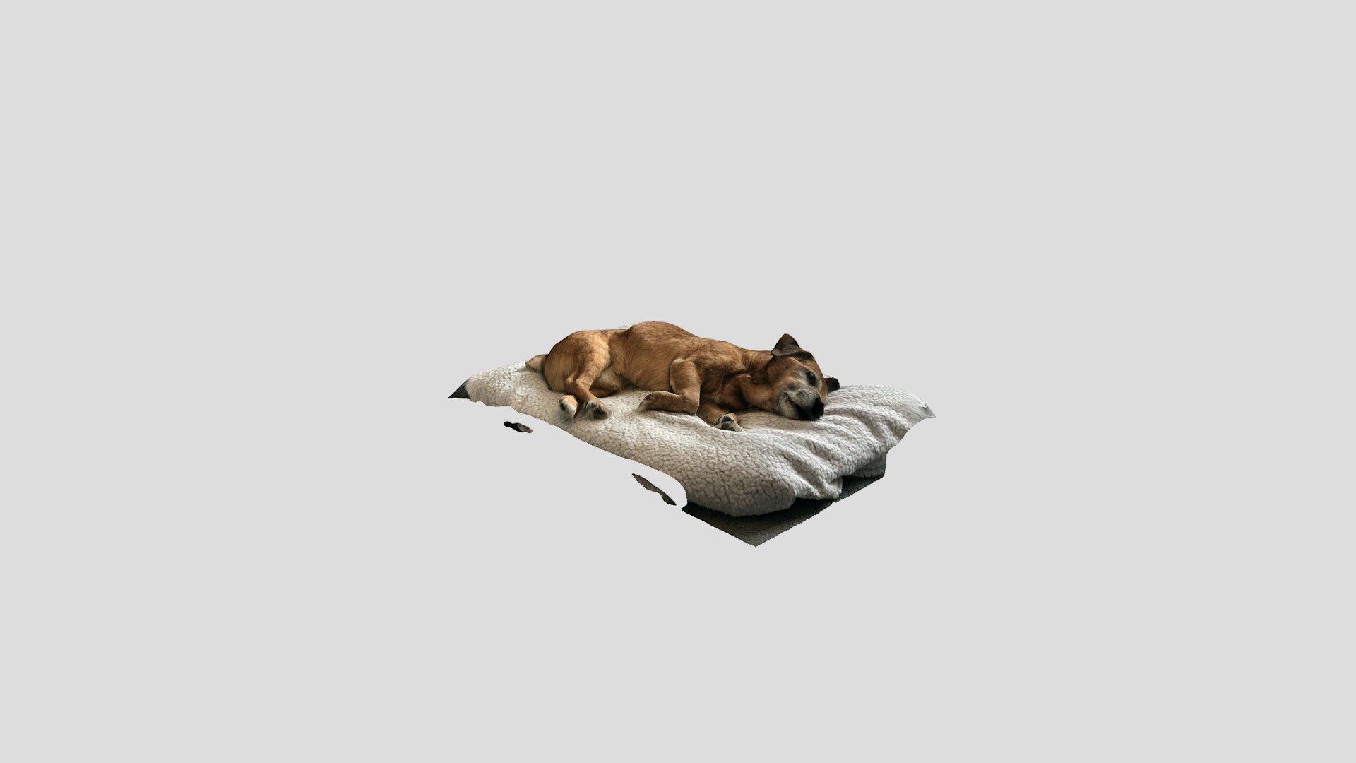 Tyke1 - Download Free 3D model by TykeHunt18 [03cf1d2] - Sketchfab