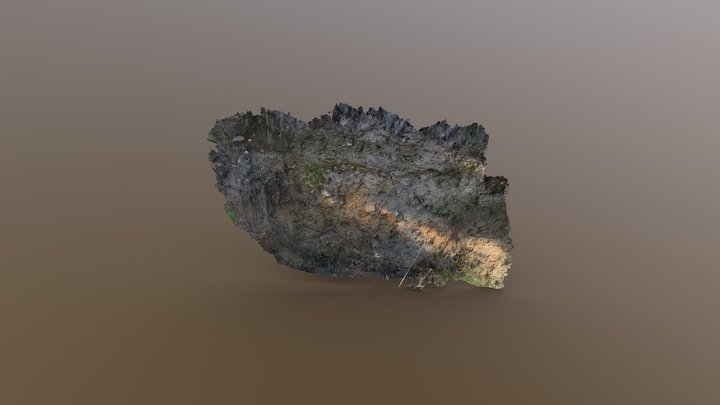 Soil 3D models - Sketchfab