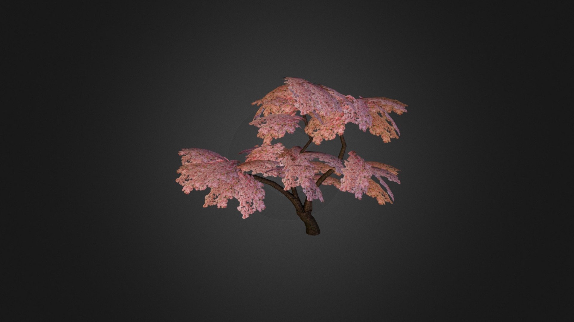 sakura tree - 3D model by kayla.chauveau [03db175] - Sketchfab