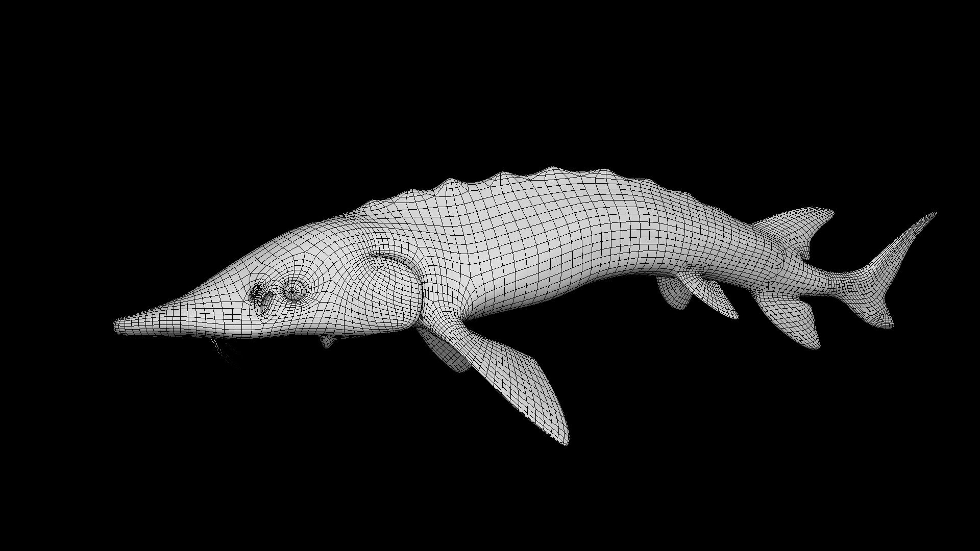 Model 66B - Atlantic Sturgeon Mesh - Download Free 3D model by ...