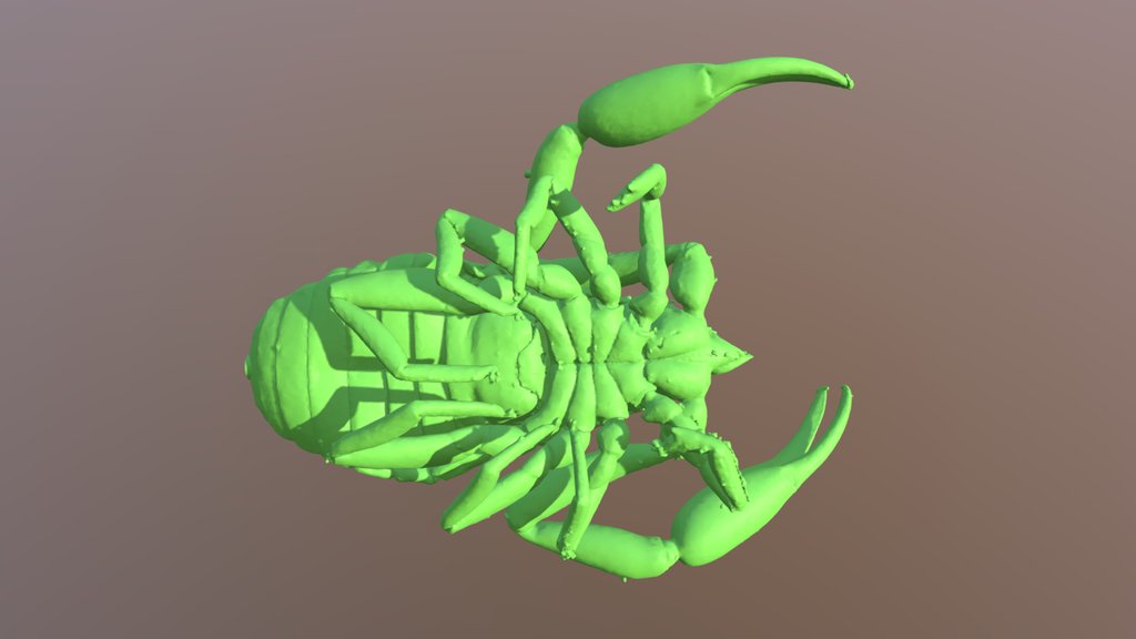 insects - A 3D model collection by Omassyx - Sketchfab