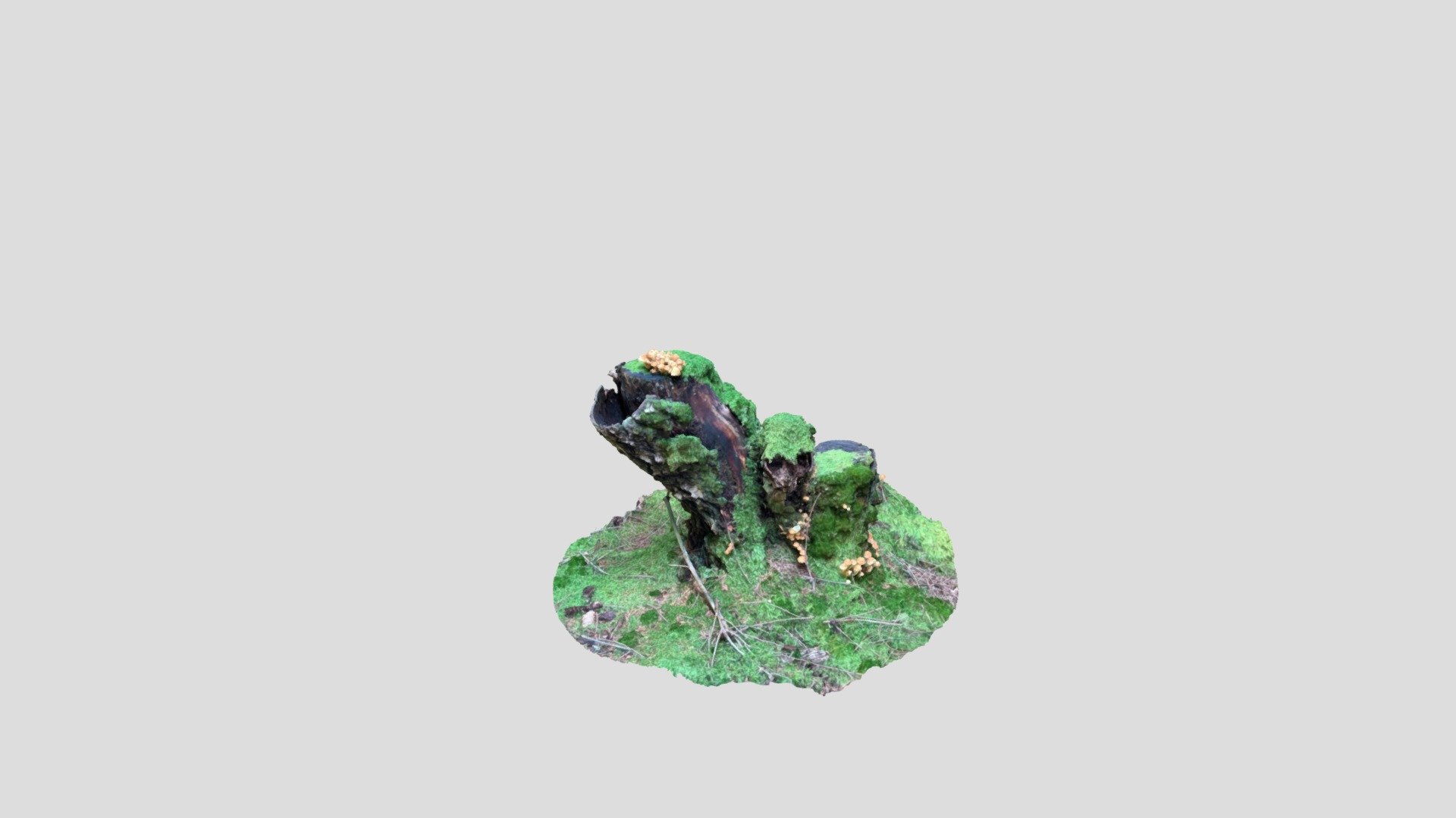 Mossy trunk scan - Download Free 3D model by dahlberg150 [03f958f ...