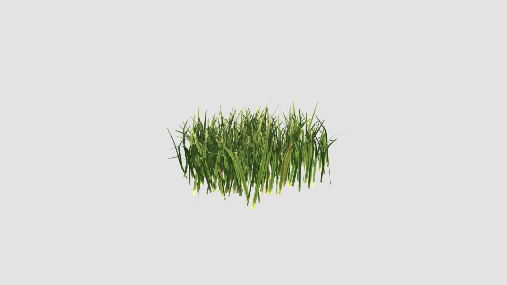 simple grass small - Buy Royalty Free 3D model by Evermotion [0405fb4 ...