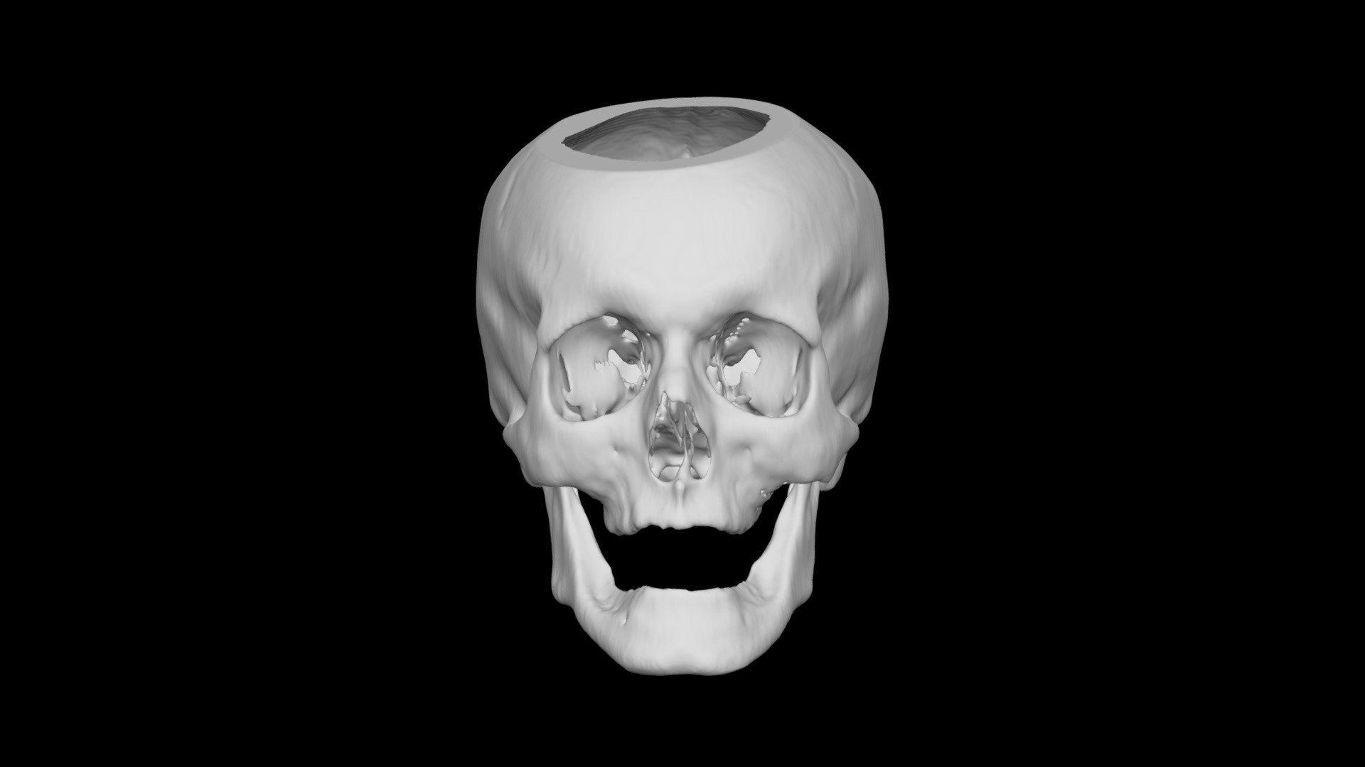 Skull Male 70yo - 3D model by Terrie (@terrielsimmons) [0407a80 ...