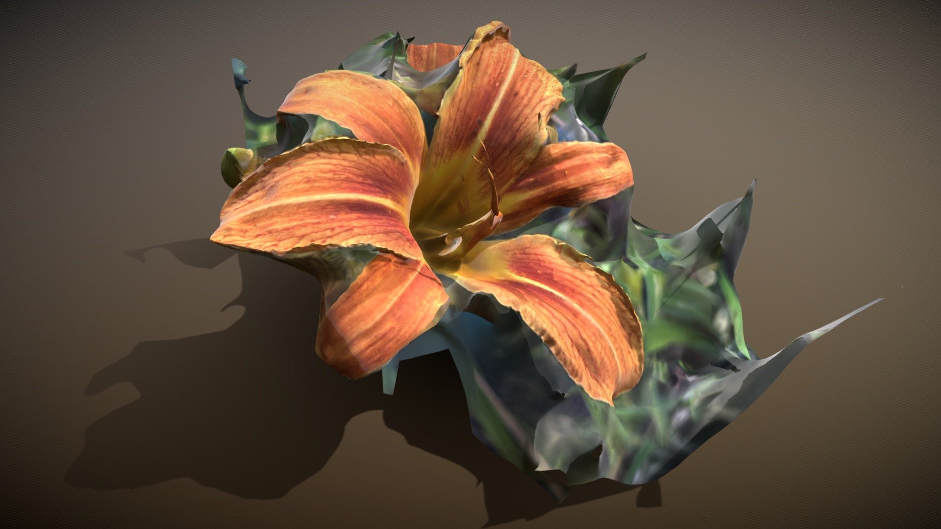 Day Lilly (orange) scan - Download Free 3D model by Tom (@trbaker ...
