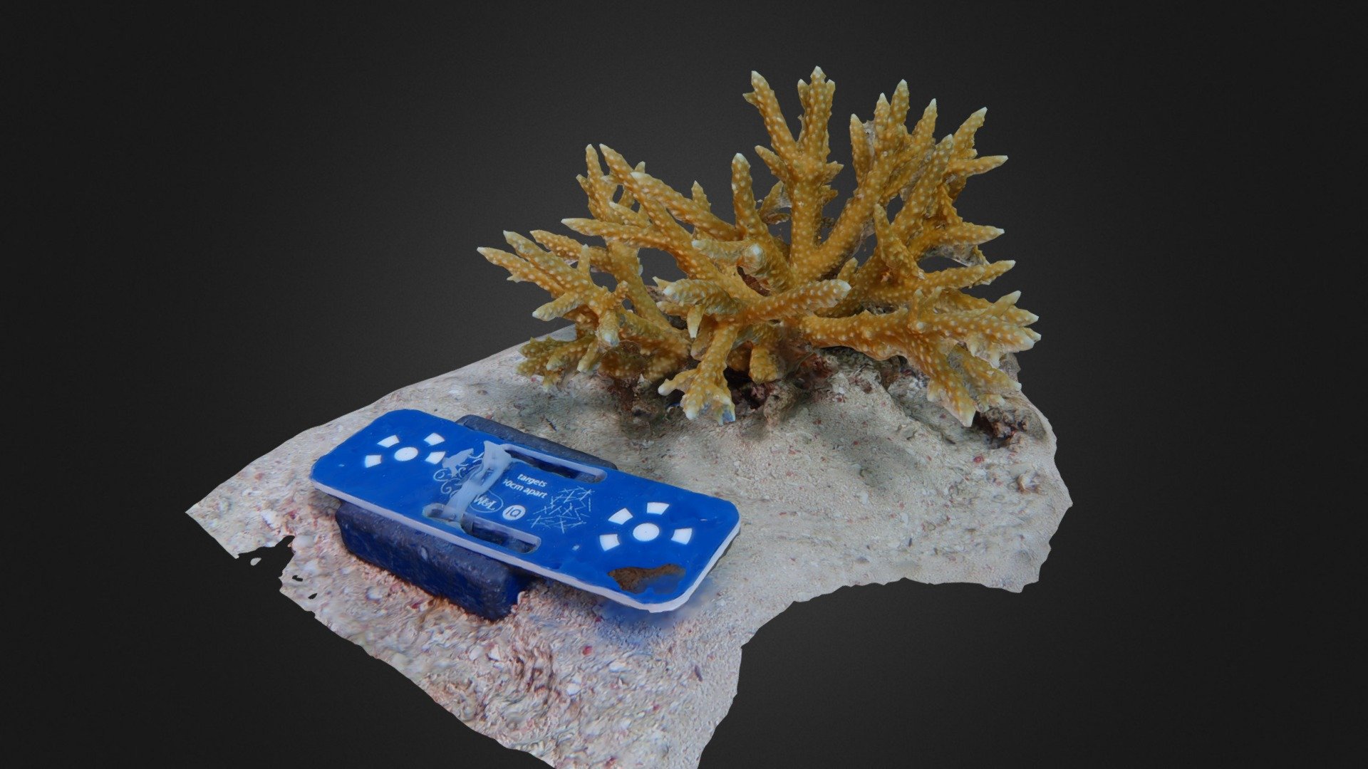 Tiny Test - 3D model by iqcenter [040f377] - Sketchfab