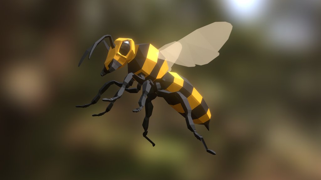 bee - A 3D model collection by Bhawklyn.csueb - Sketchfab