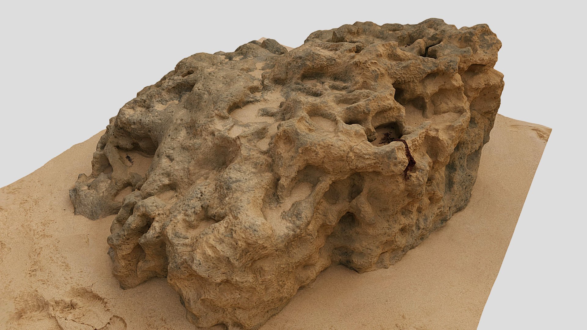 Ocean cliff scan 8k 020 - Buy Royalty Free 3D model by immerge [0417e7a ...