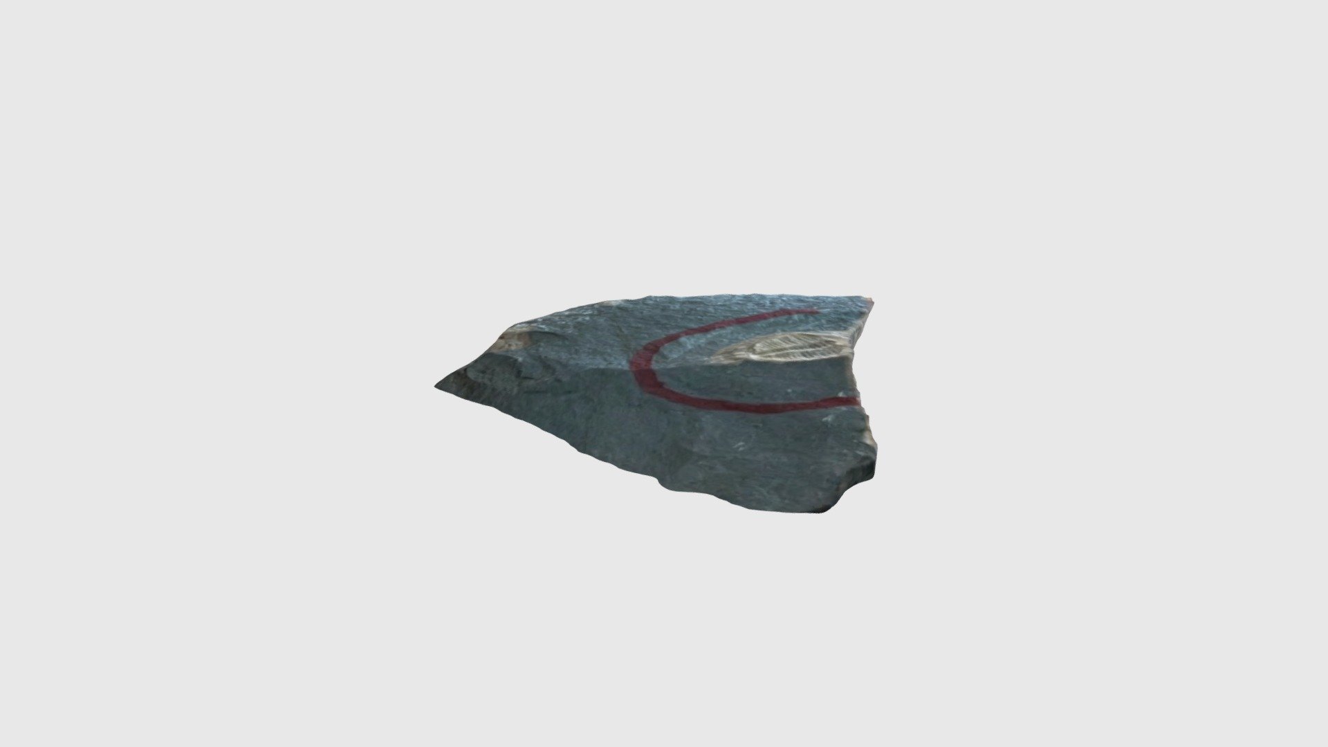 Fossilization Example Trilobite External Mold - Download Free 3D model ...