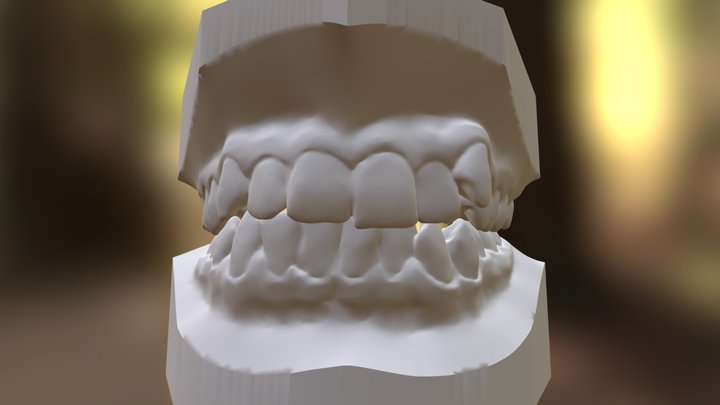 Ortho 3D models - Sketchfab