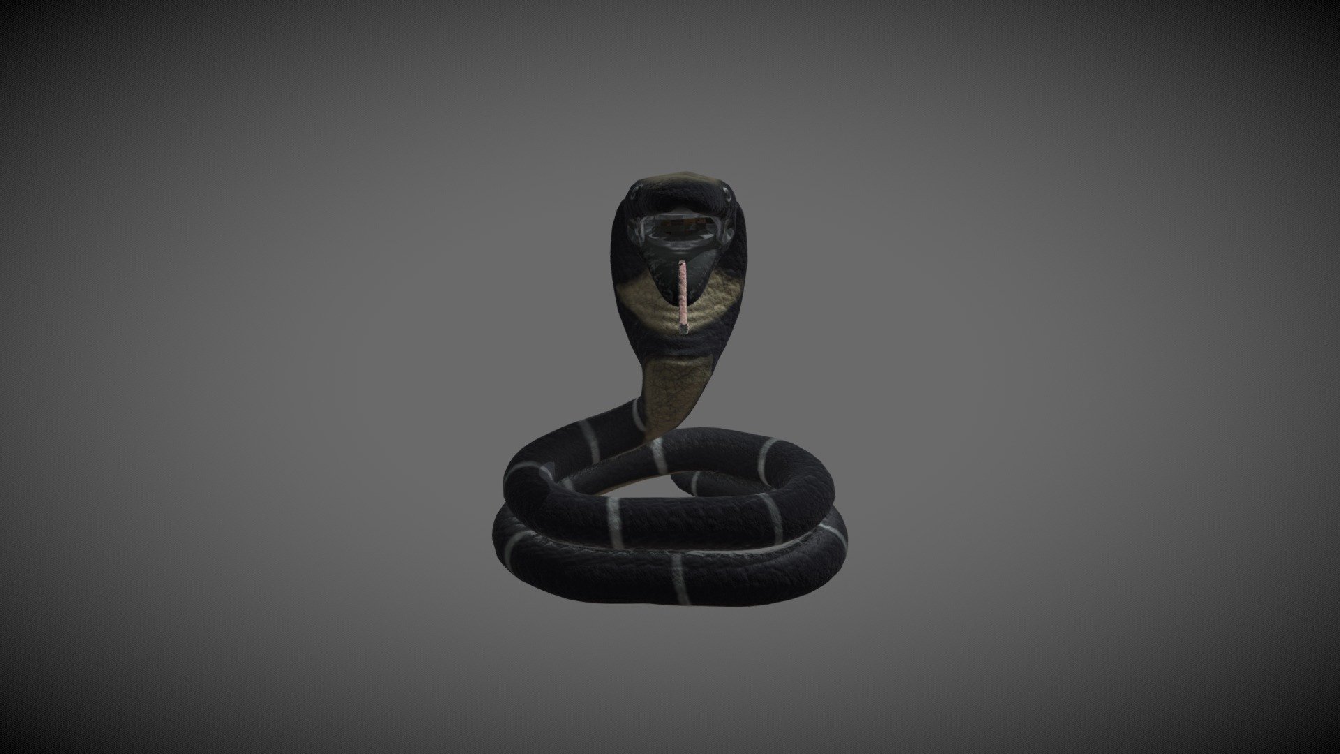 Snake_low - 3D model by BenMcCarthy1995 [042d95c] - Sketchfab