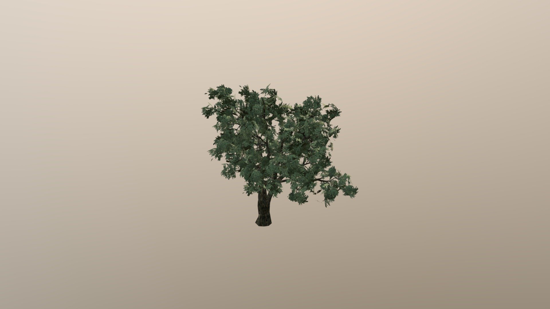 Cay 5 - Download Free 3D model by thangtacong [042e570] - Sketchfab