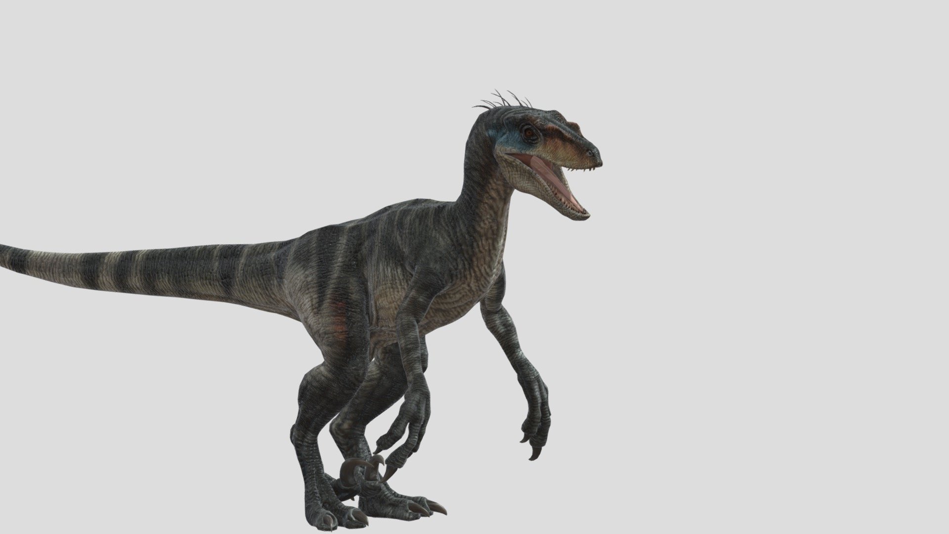 JWR Raptors - Download Free 3D model by jimmyho905 [0433d81] - Sketchfab