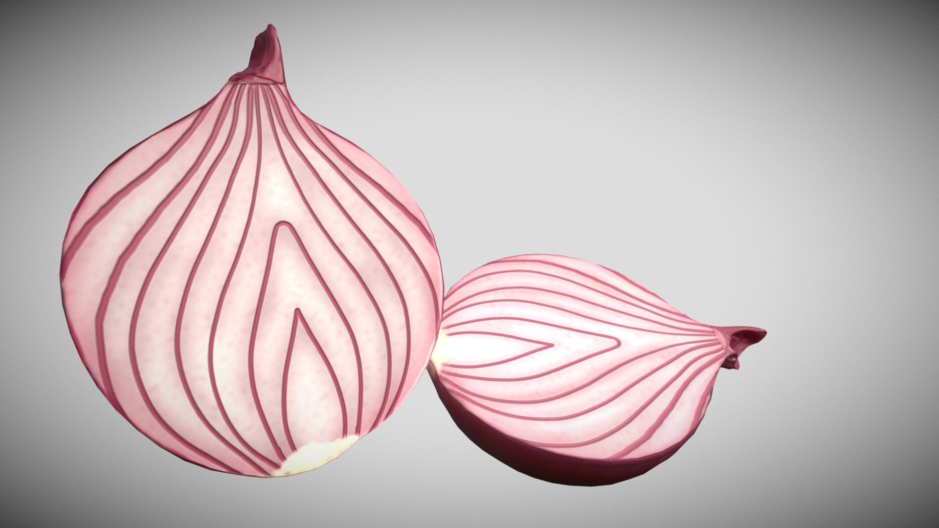half cut onion - 3D model by Mapshot [0436385] - Sketchfab