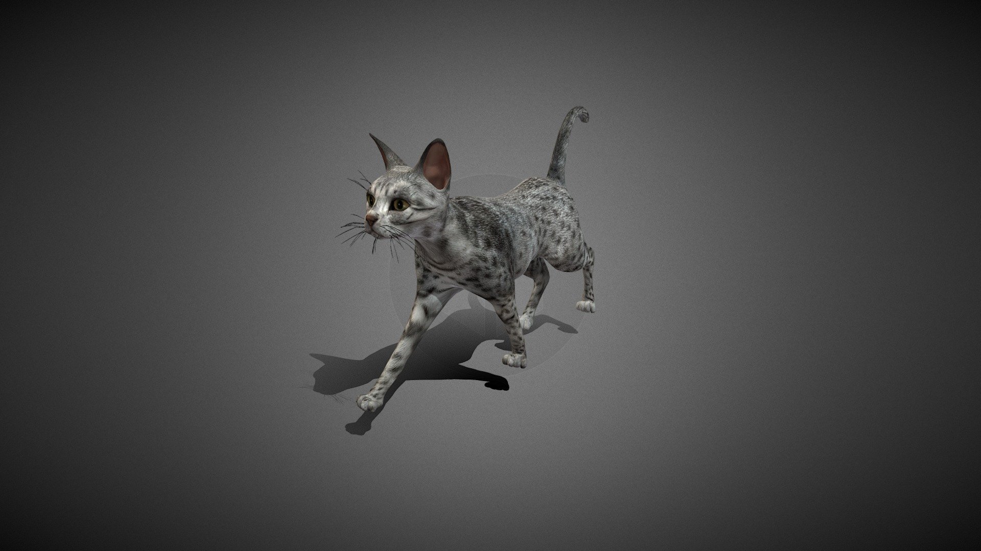 cat - 3D model by Stephengury [0437946] - Sketchfab