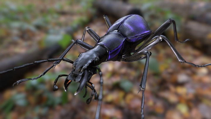 Damaster 3D models - Sketchfab