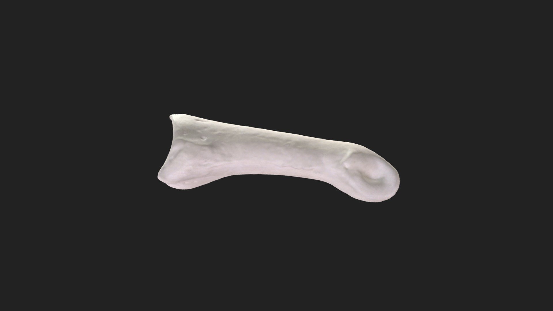 phalanx intermedium II chicken - 3D model by vetanatMunich [043c478 ...