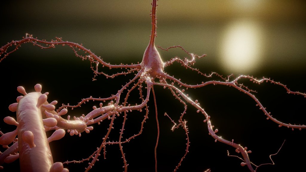 AP Neuron Test V5 - 3D model by Neural Impulse Media (@bblakesley ...