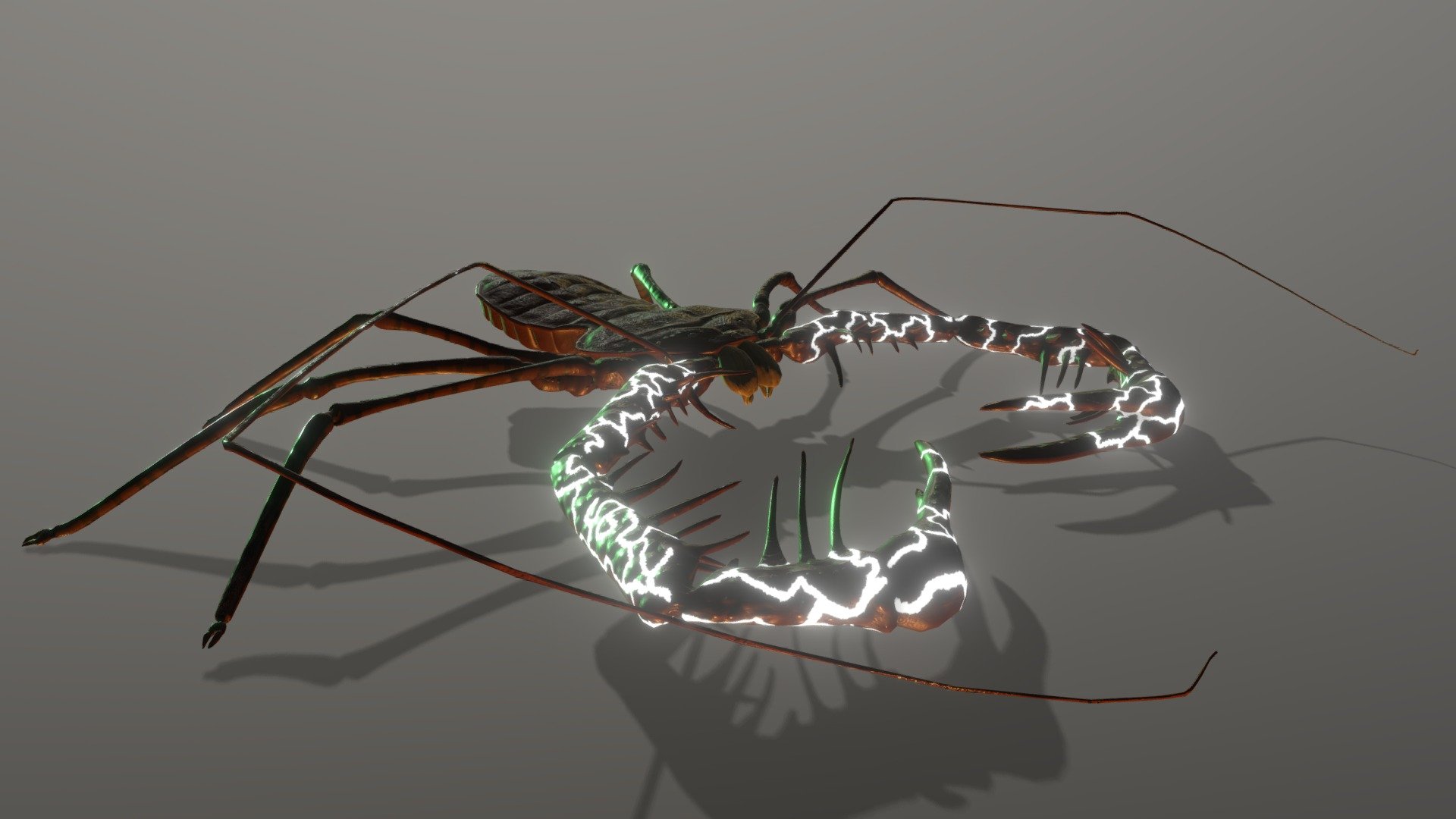 Whip Scorpion Export - 3D model by Dinobros2000 [04495e9] - Sketchfab