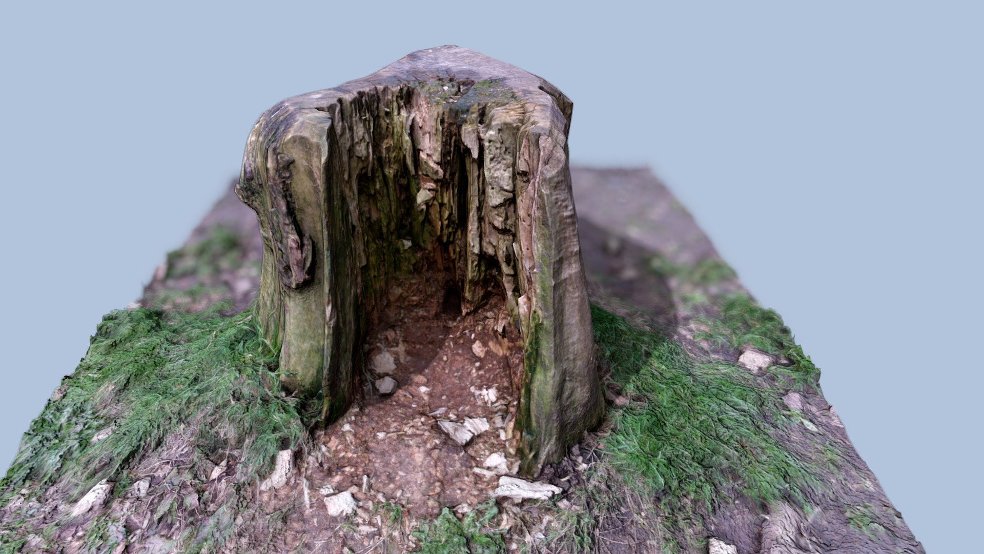 Hollow tree stump - 3D model by ppashen [04498a5] - Sketchfab