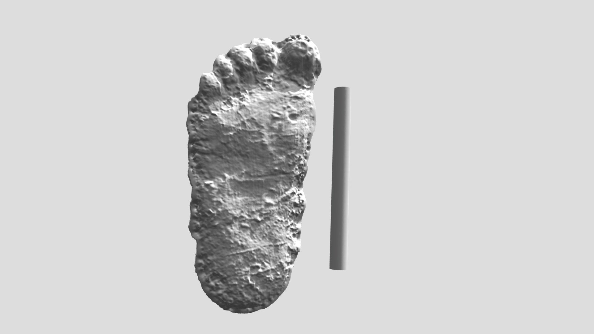 Plaster Imprint of Bigfoot Foot (VCU_3D_5309) - 3D model by Virtual ...