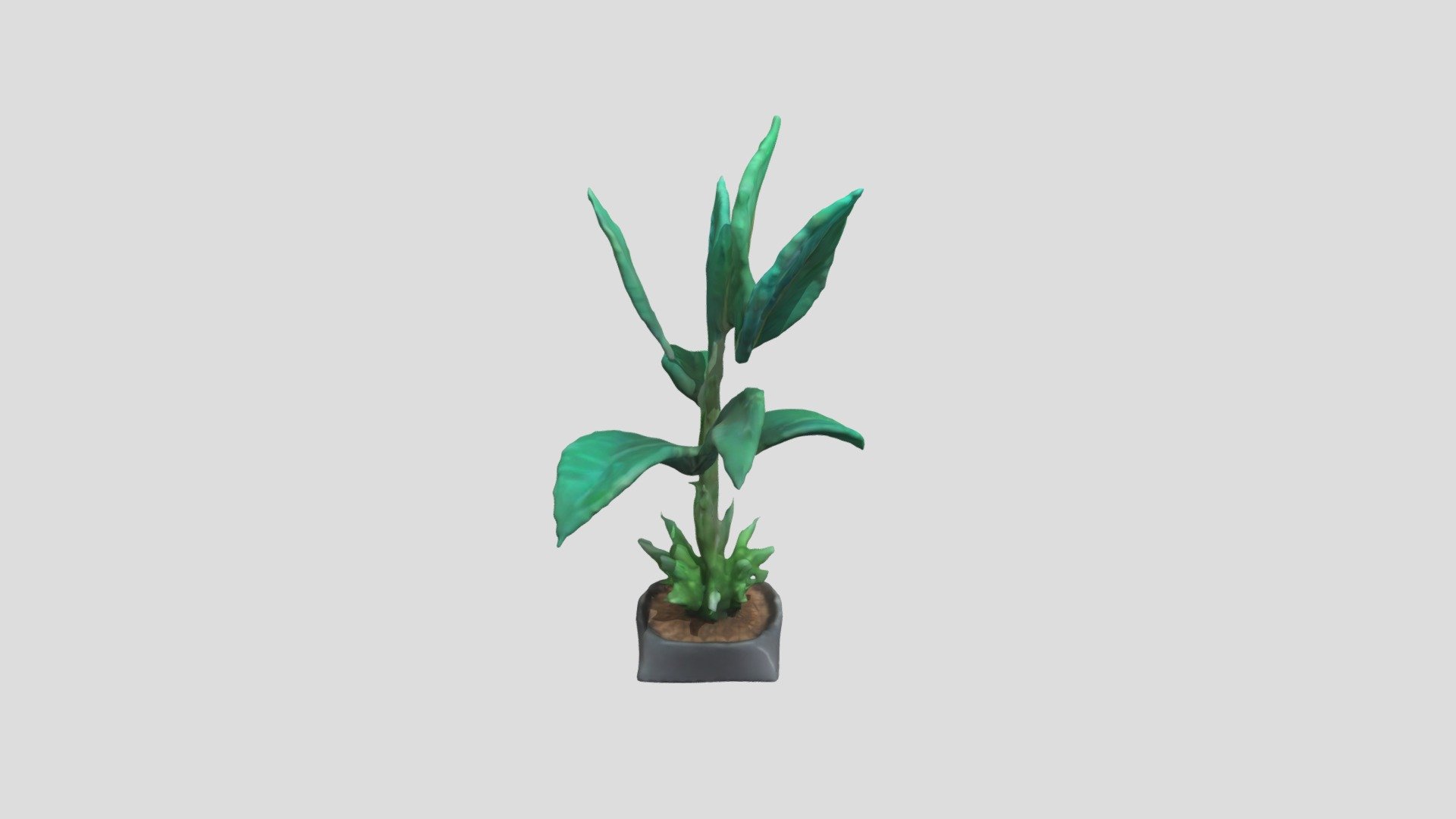 plant_draft - 3D model by elenonmarquesmario [044bef6] - Sketchfab