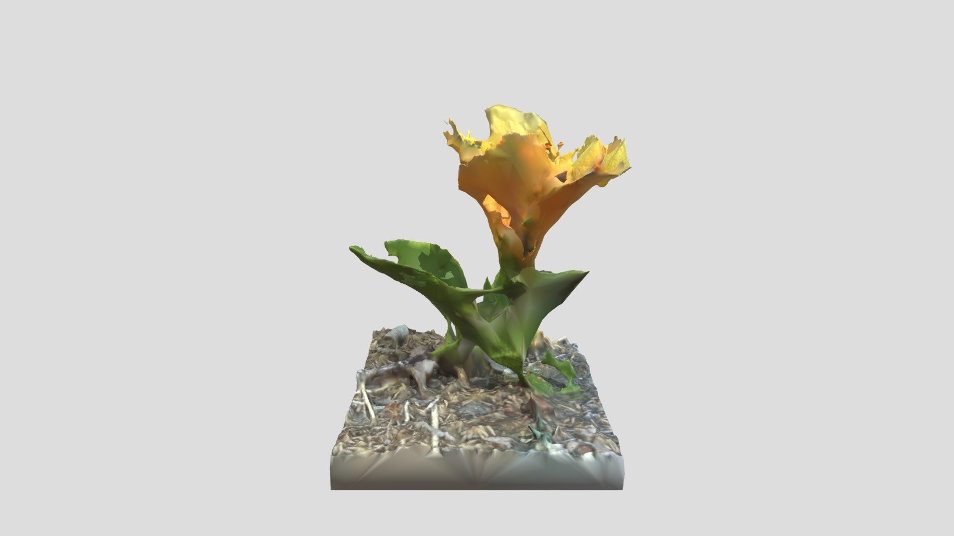 Flower point cloud - Download Free 3D model by venchy0503 [044d2e0 ...