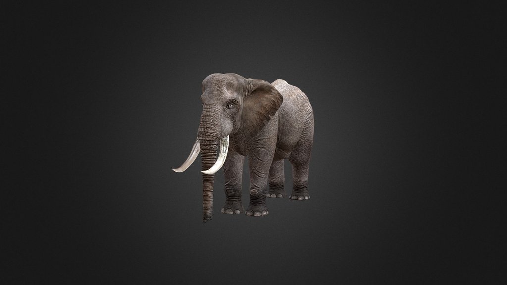 Animals - A 3D model collection by bliker - Sketchfab