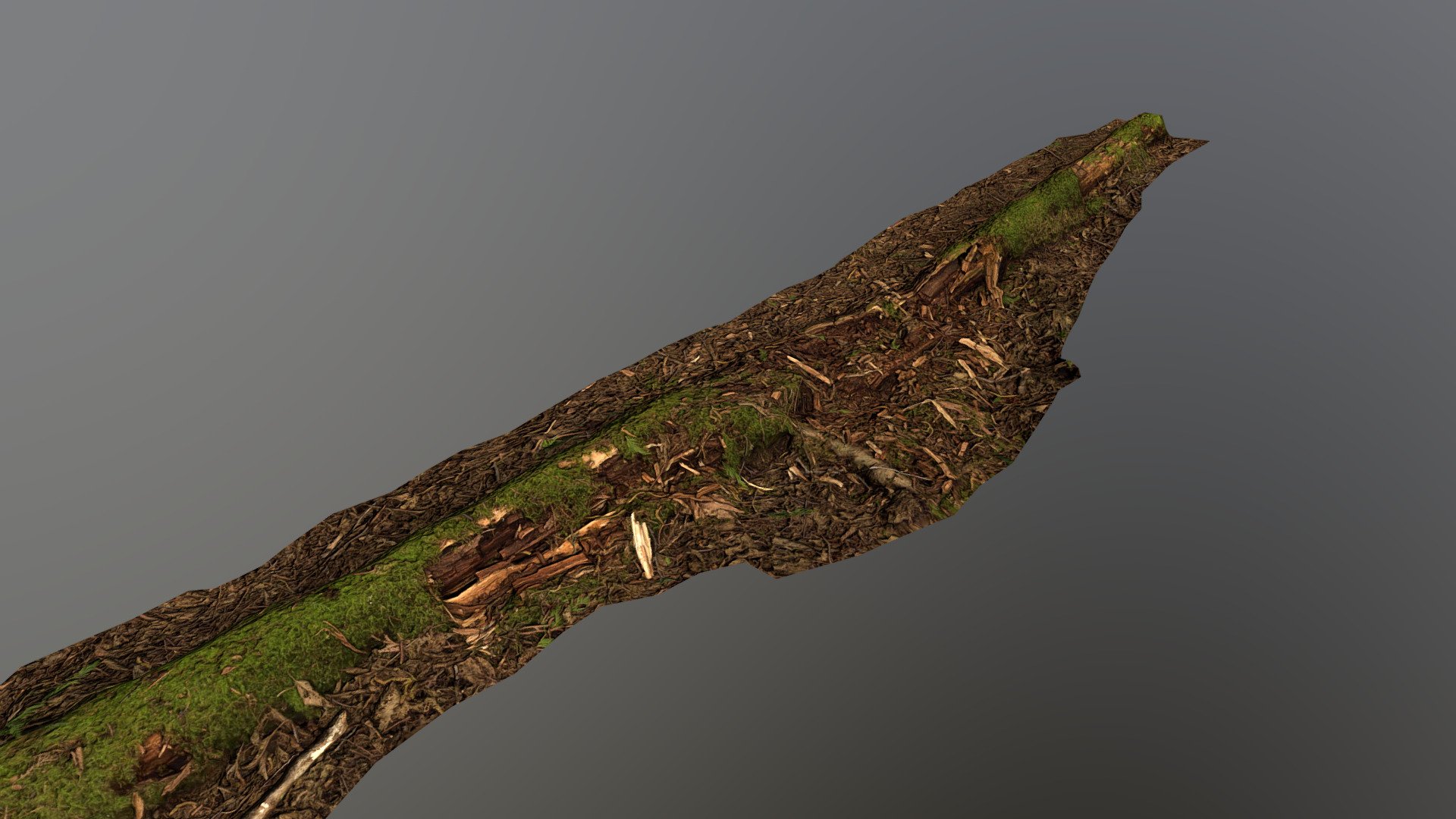 Fallen Tree 3 - 3D model by peter54 [044fdbb] - Sketchfab