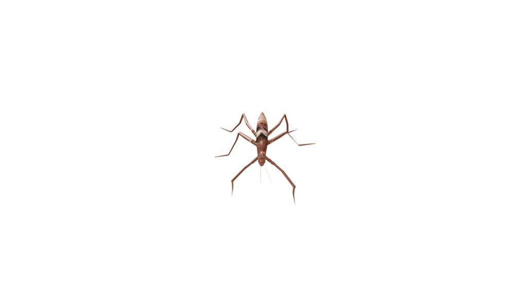 Low Poly Stick Bug - Download Free 3D model by shelbs (@shelbss ...