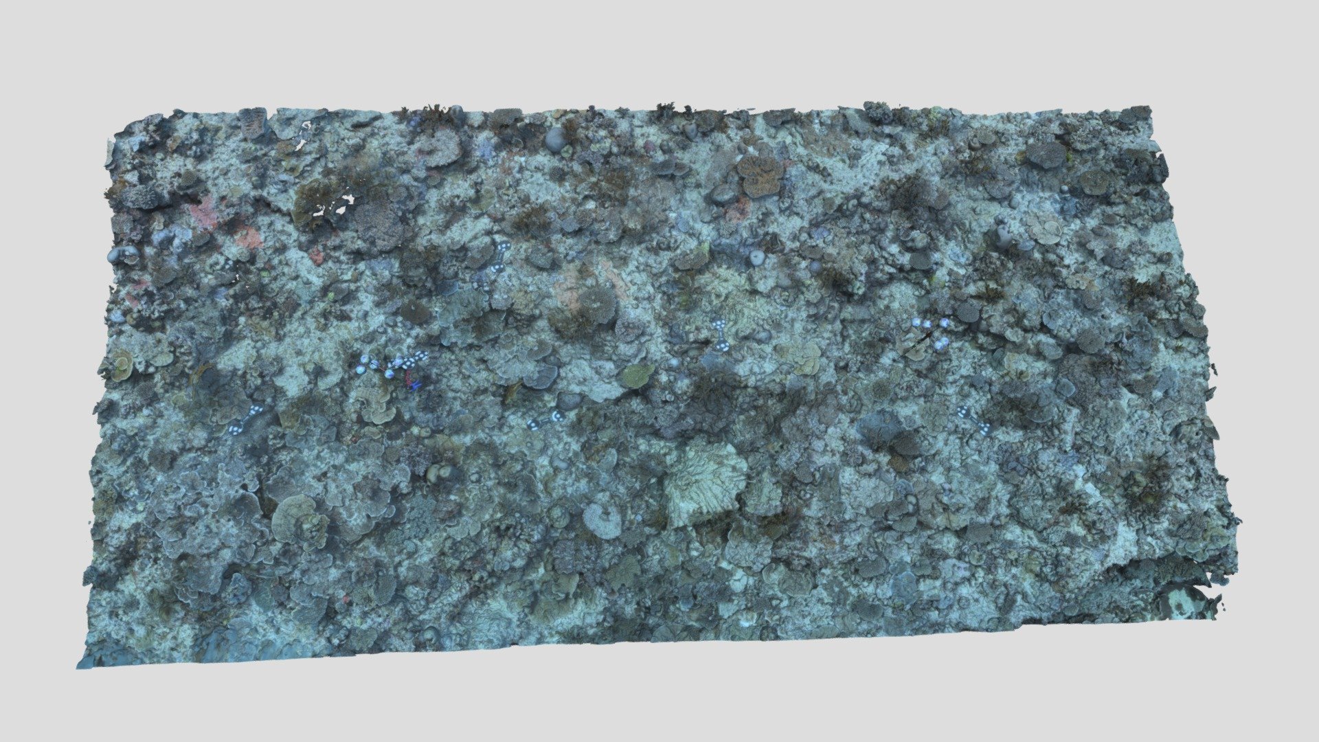 Heron_BA1D_P4_202105 - 3D model by EcoRRAP (@AIMSEcoRRAP) [0458ed4 ...