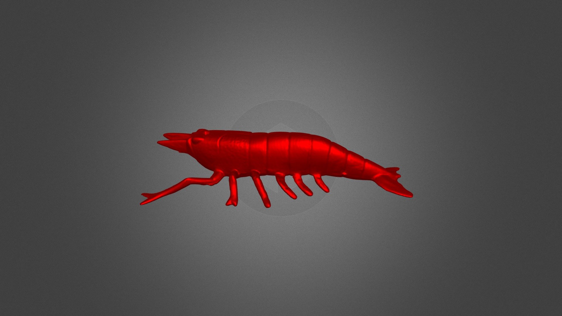 King Prawn - Buy Royalty Free 3D model by SD (@satishdesai) [045a646 ...