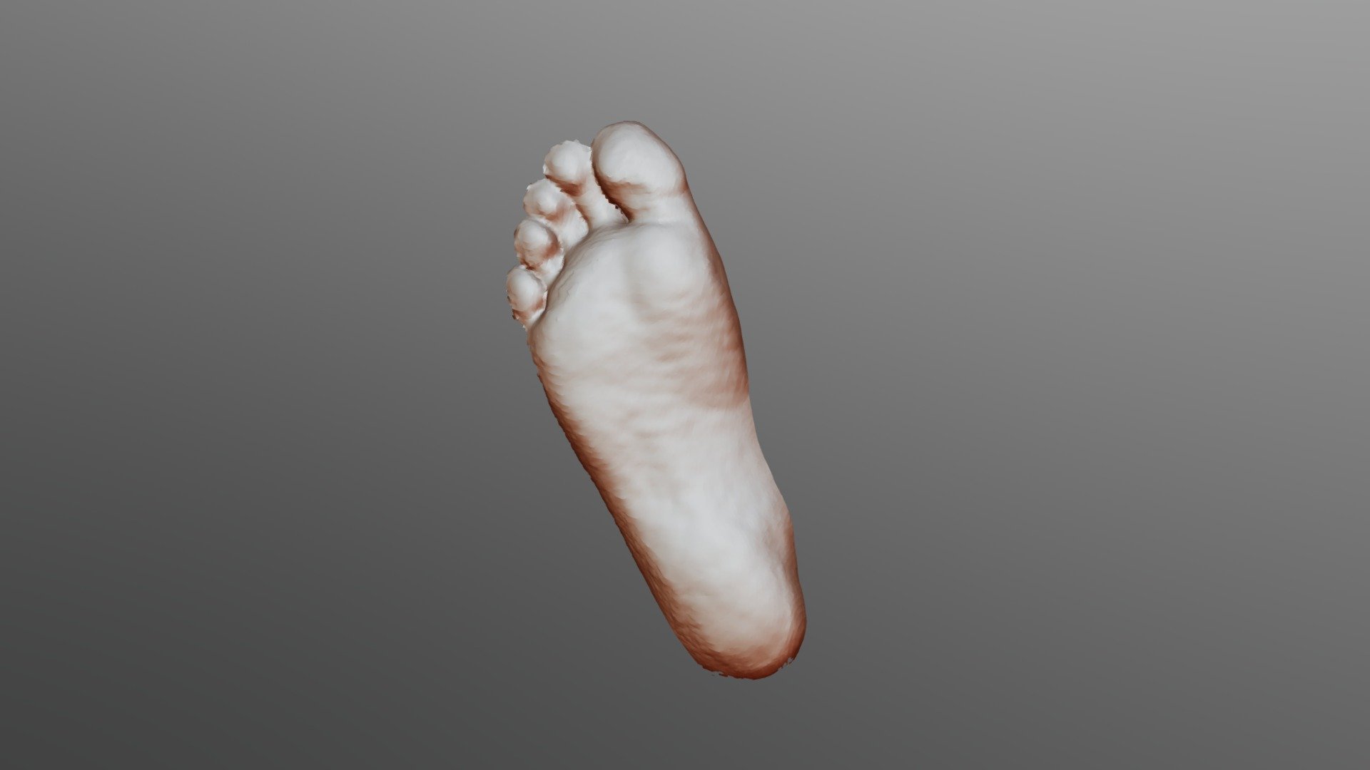 Sole of foot - 3D model by hcwiley [046f98a] - Sketchfab