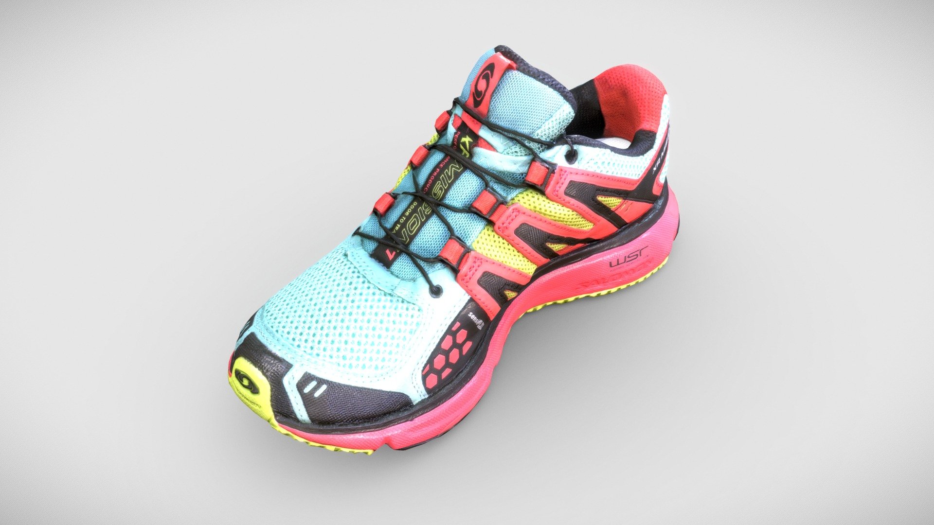 Salomon WRS - 3D model by Scanlab Photogrammetry Inc. (@scanlabstudio ...
