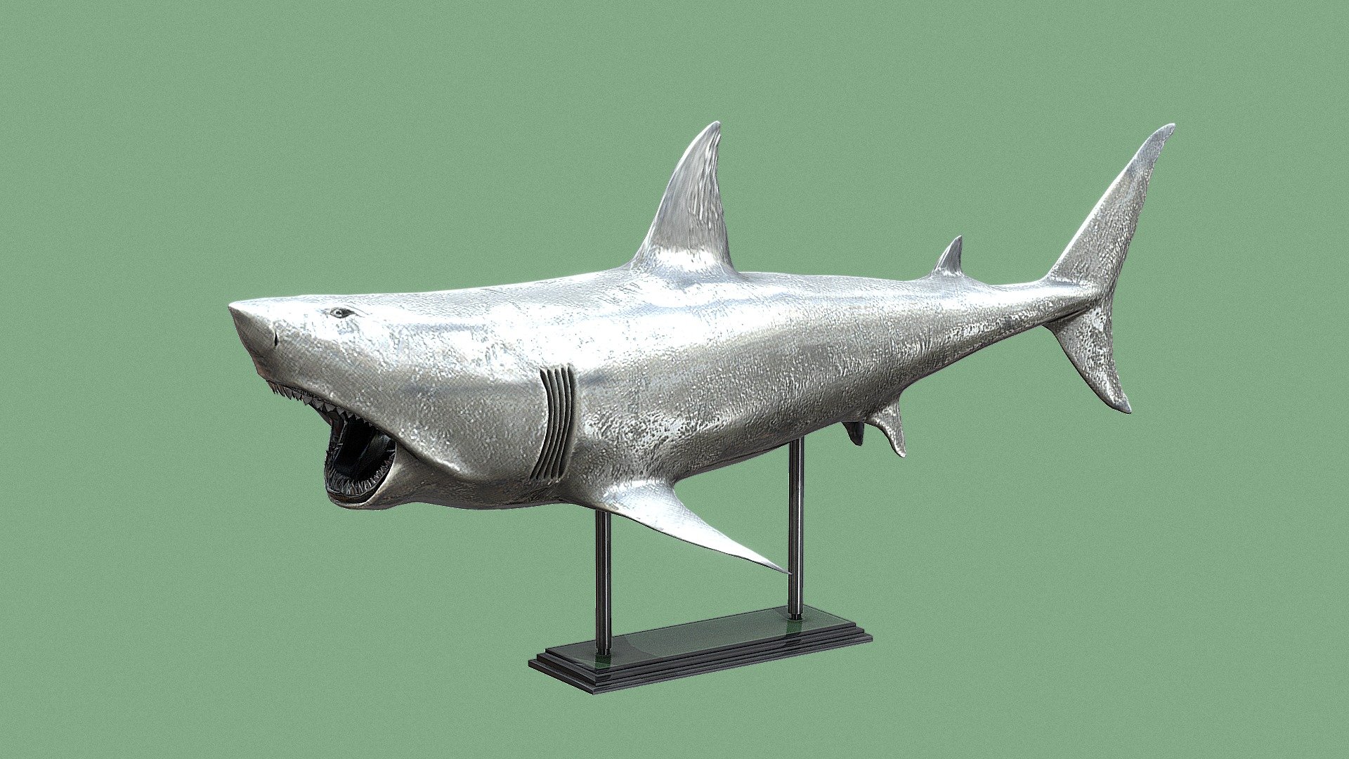 Silver Shark 3D Model - 3D model by ₦₥₵ ฿₵ (@nmcbc) [04734be] - Sketchfab